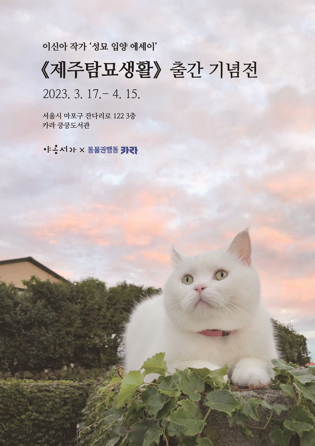 고양이 스타 히끄의 제주 생활 이신아 작가 제주탐묘생활 사진전 100세 시대 백뉴스