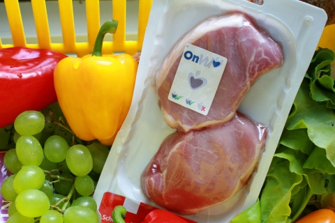 시바, 차세대 시간 및 온도 변화에 따른 지시계 출시 - 뉴스와이어