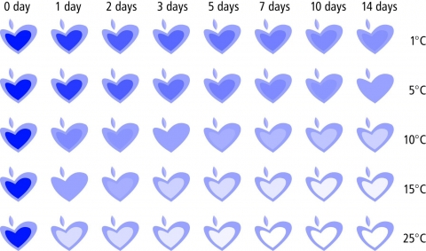 시바, 차세대 시간 및 온도 변화에 따른 지시계 출시 - 뉴스와이어